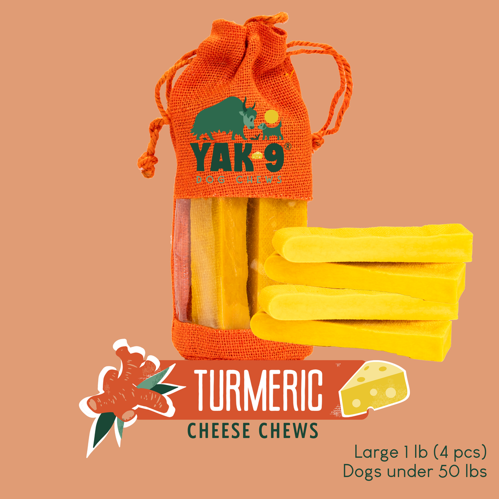 Turmeric Cheese Chews for Dogs | Yak9 Chews