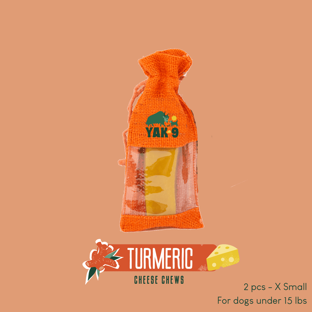 Turmeric Cheese Chews for Dogs – Yak9 Chews